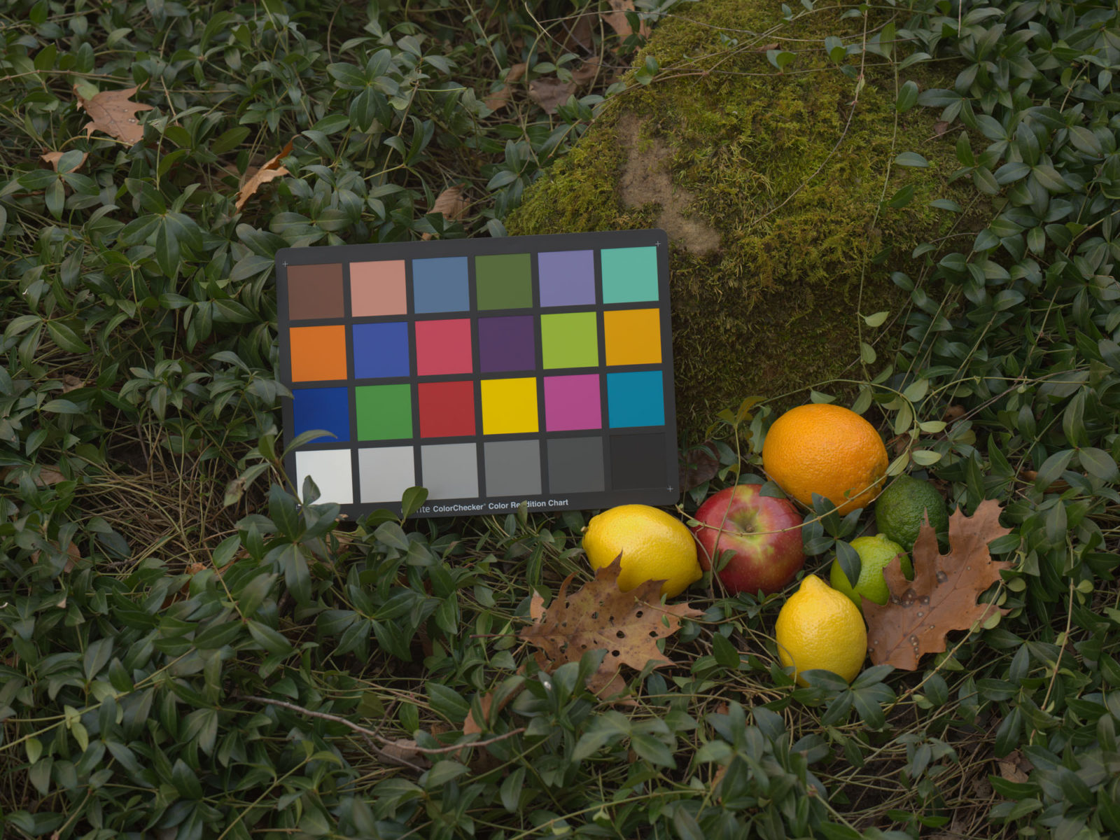 Phase One IQ3 100MP Trichromatic vs Standard Back Linear Color, Part II ...